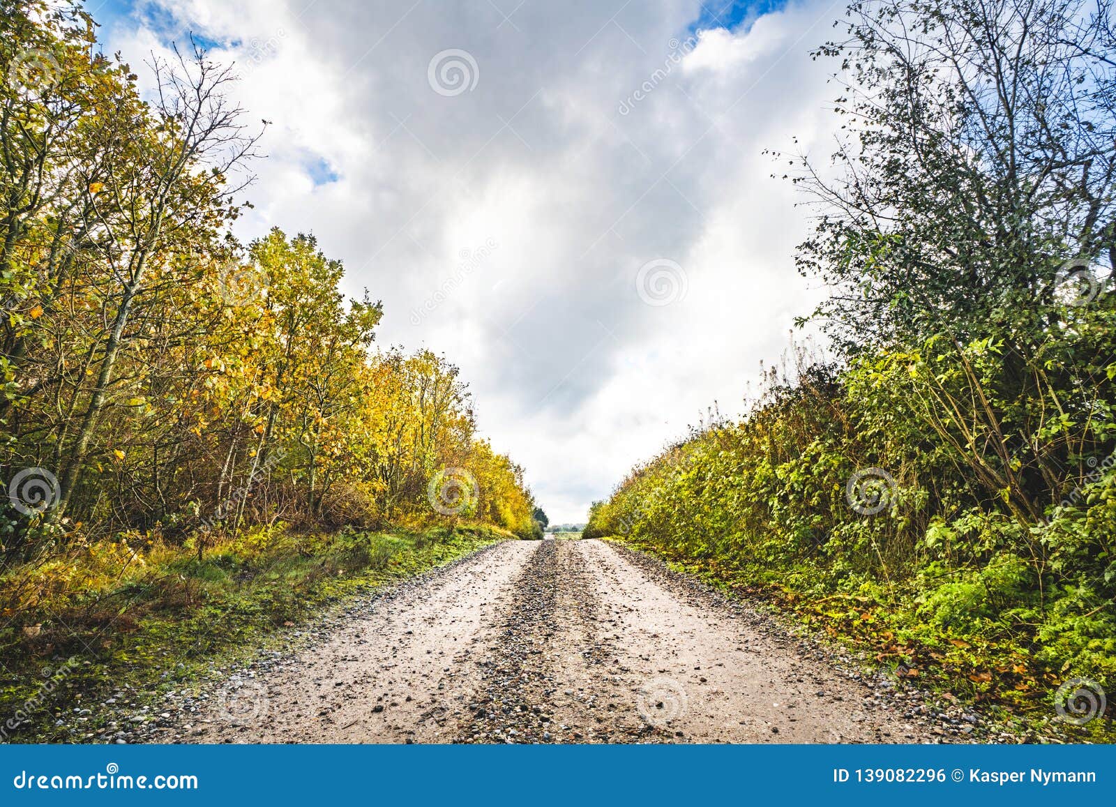 Dirt Road in the Fall with Tree in Autumn Colors Stock Photo - Image of ...