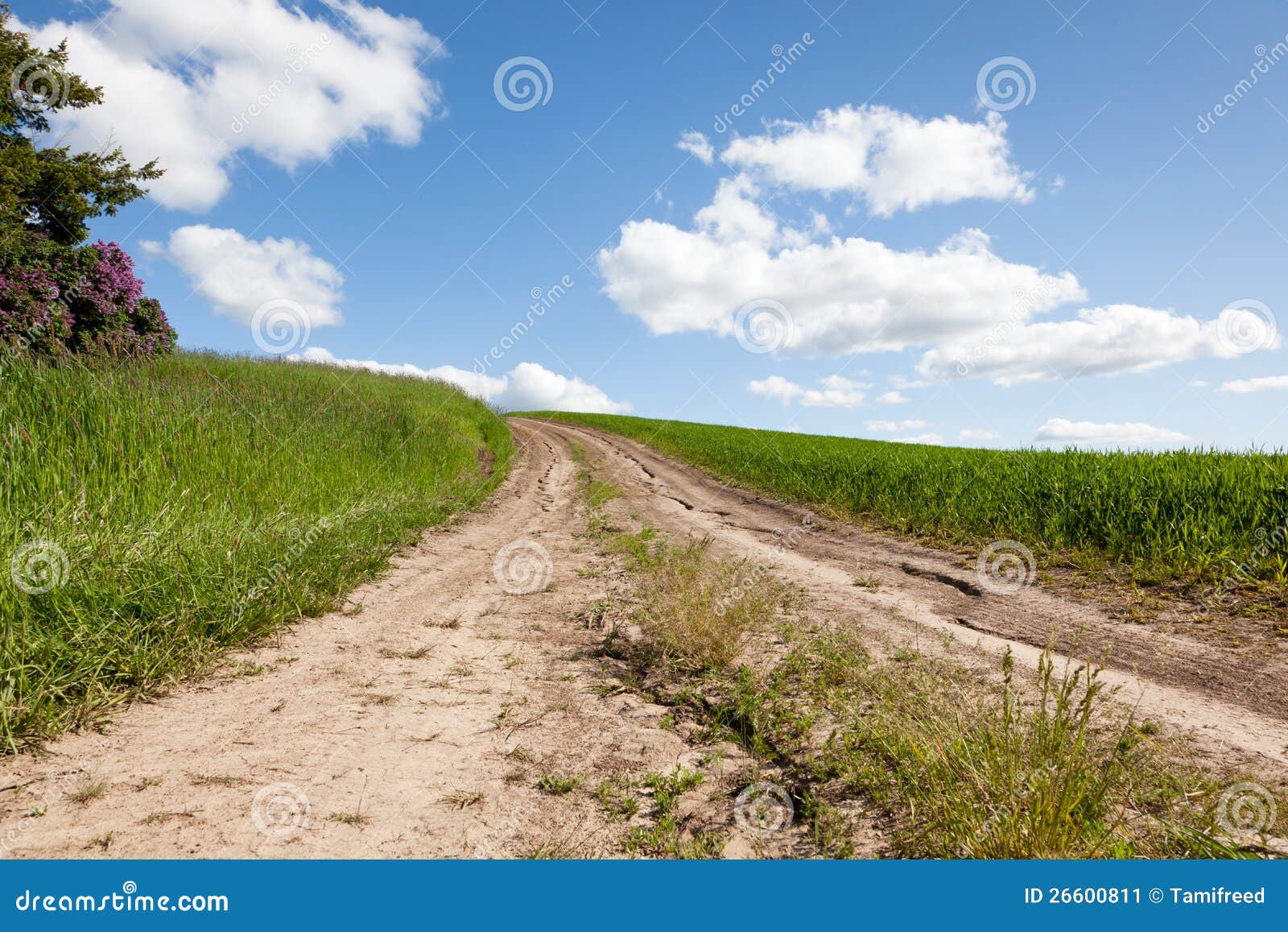 Dirt Road on a Farm stock image. Image of cracks, america - 26600811