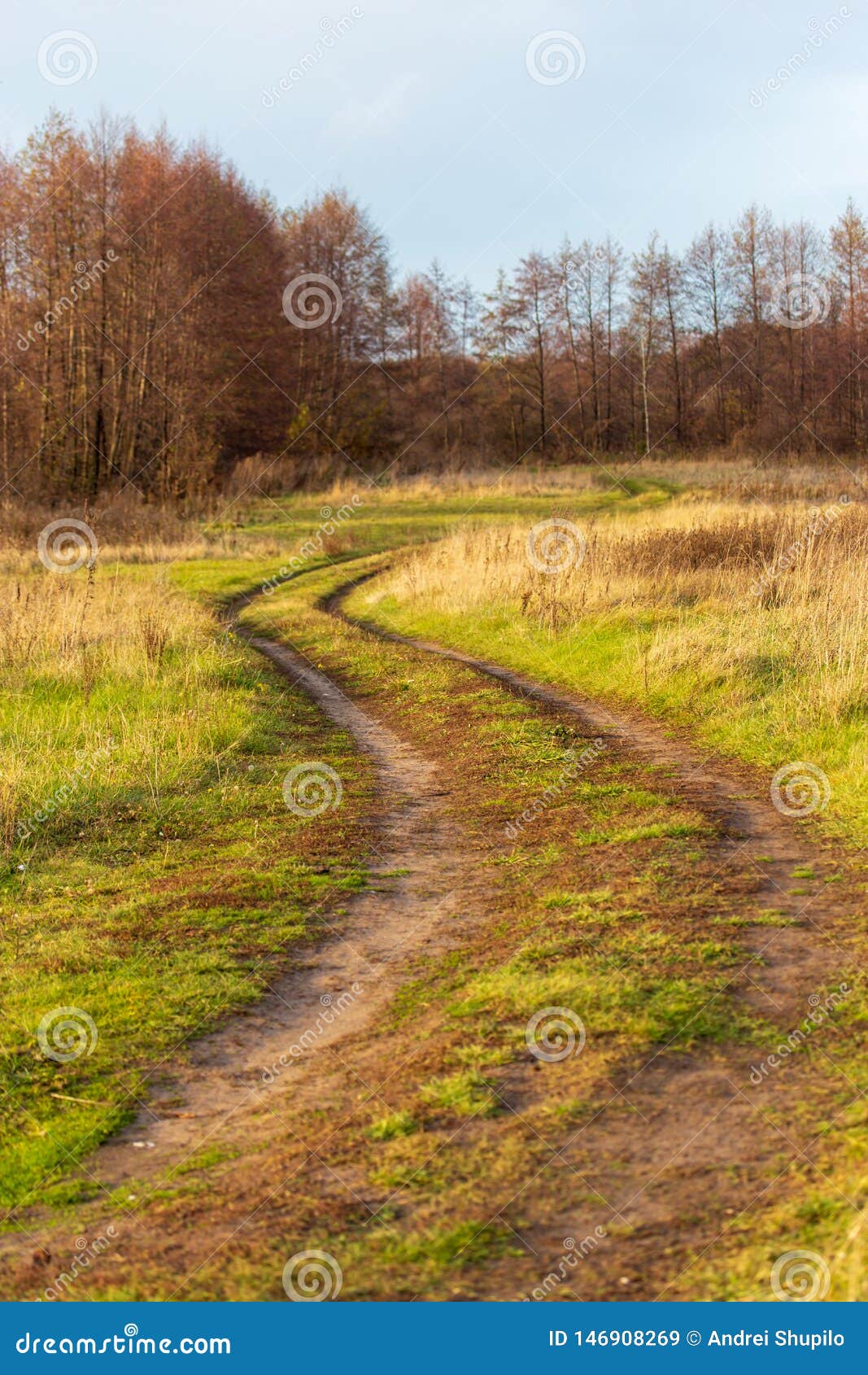 Dirt Road in the Field on the Grass Stock Image - Image of dirt, path ...