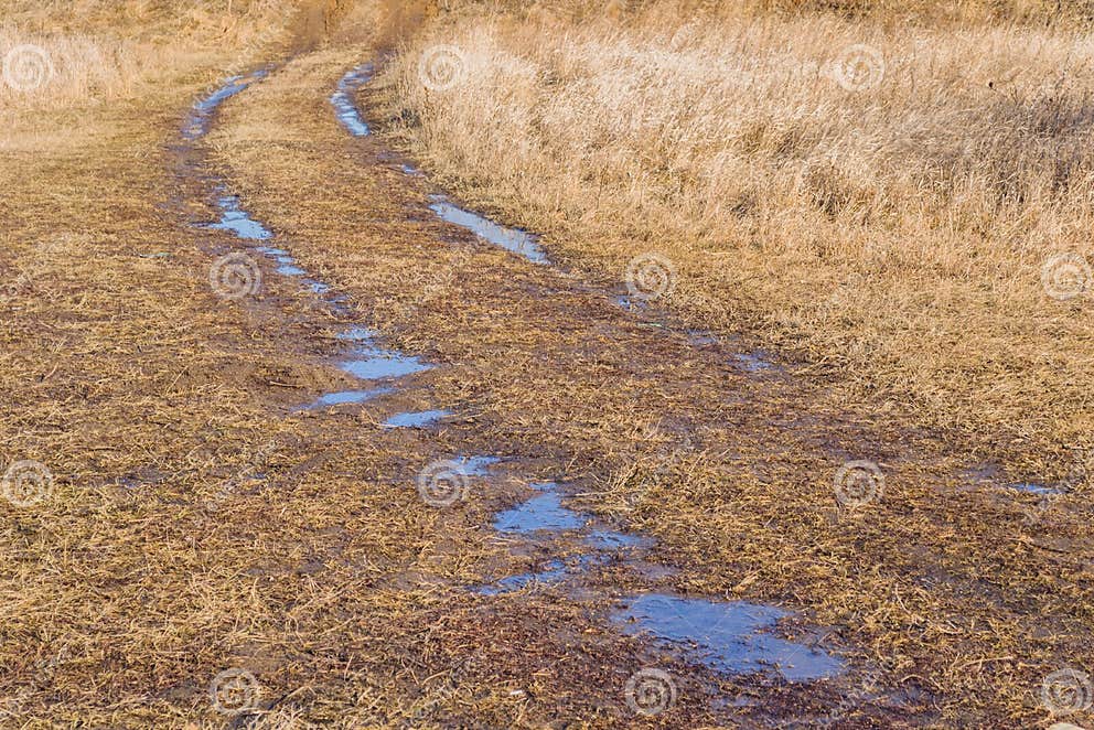 Dirt Road through the Field with Mud. Stock Photo - Image of rough ...