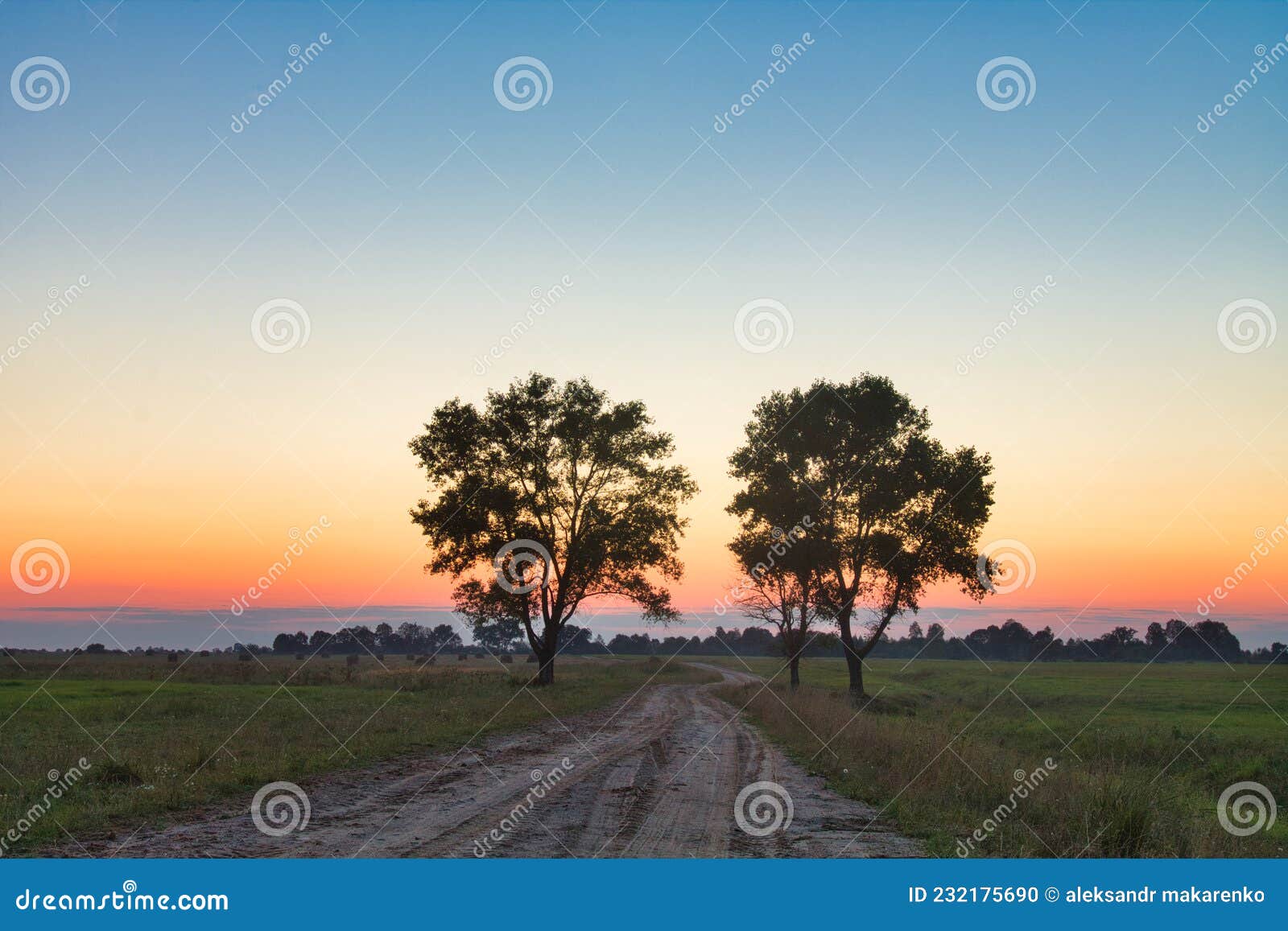 Dirt Road through the Field at Sunset Stock Photo - Image of drive ...