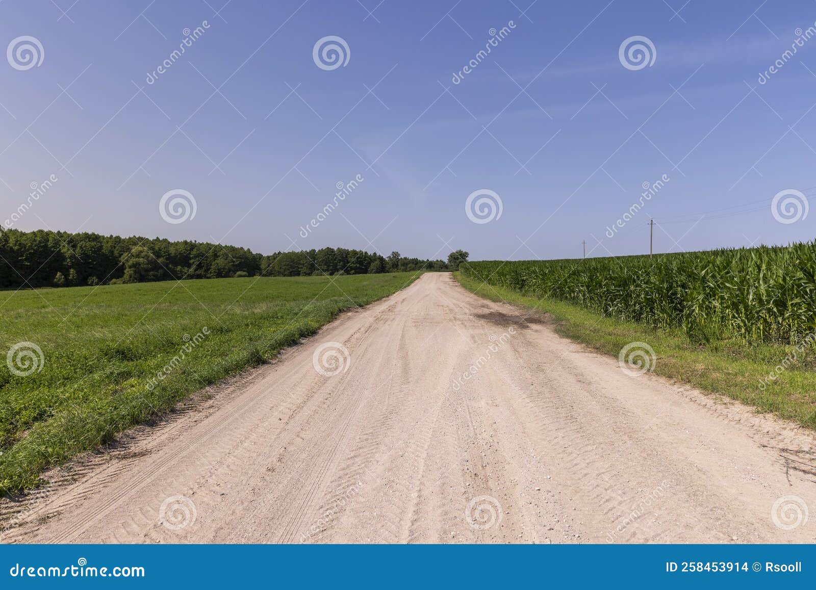 Dirt road in the field stock photo. Image of scenic - 258453914