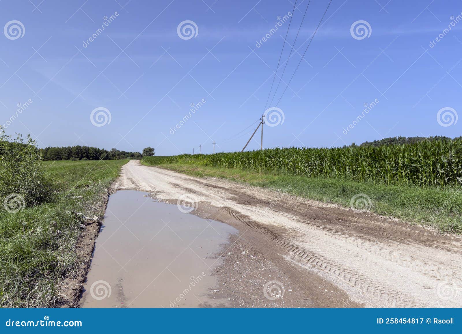 Dirt road in the field stock image. Image of road, wild - 258454817