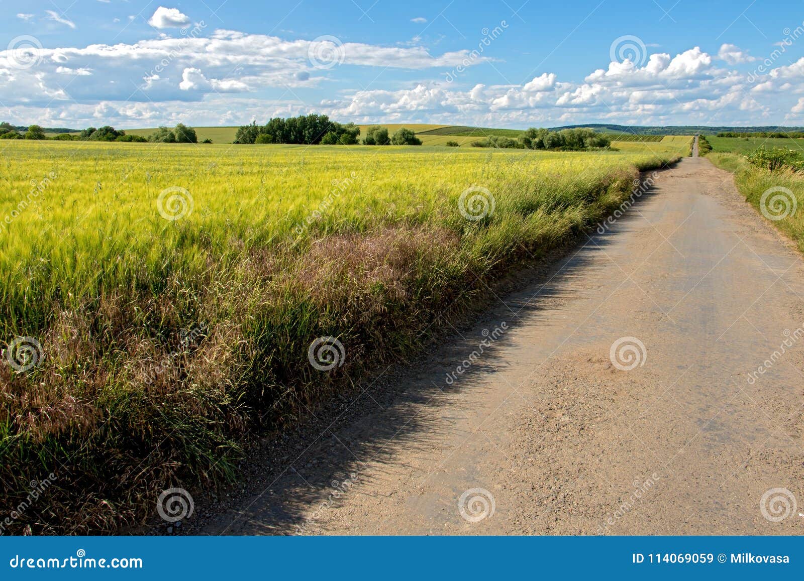 Dirt road among fields stock image. Image of czech, natural - 114069059
