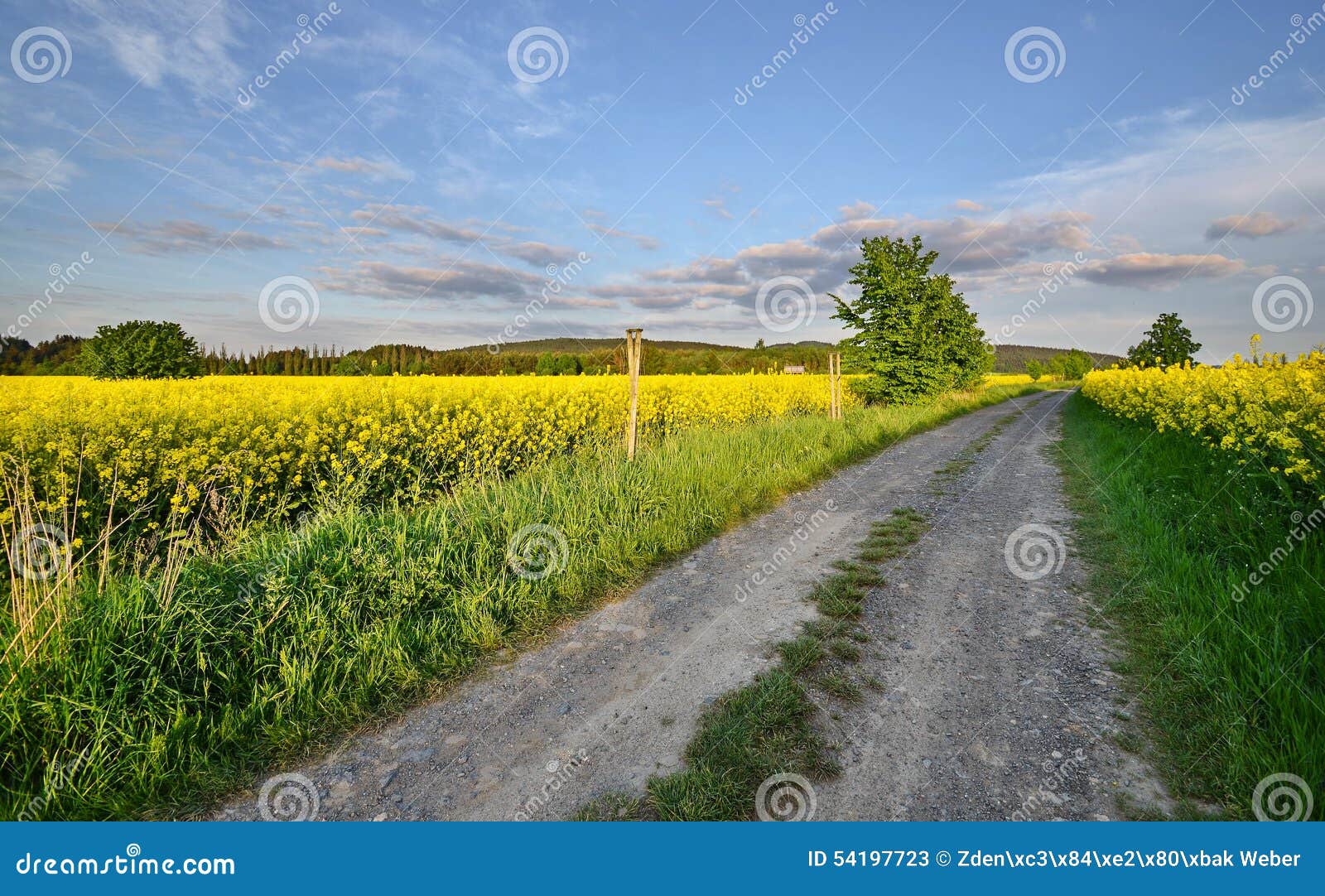 Dirt road into the fields stock image. Image of agriculture - 54197723