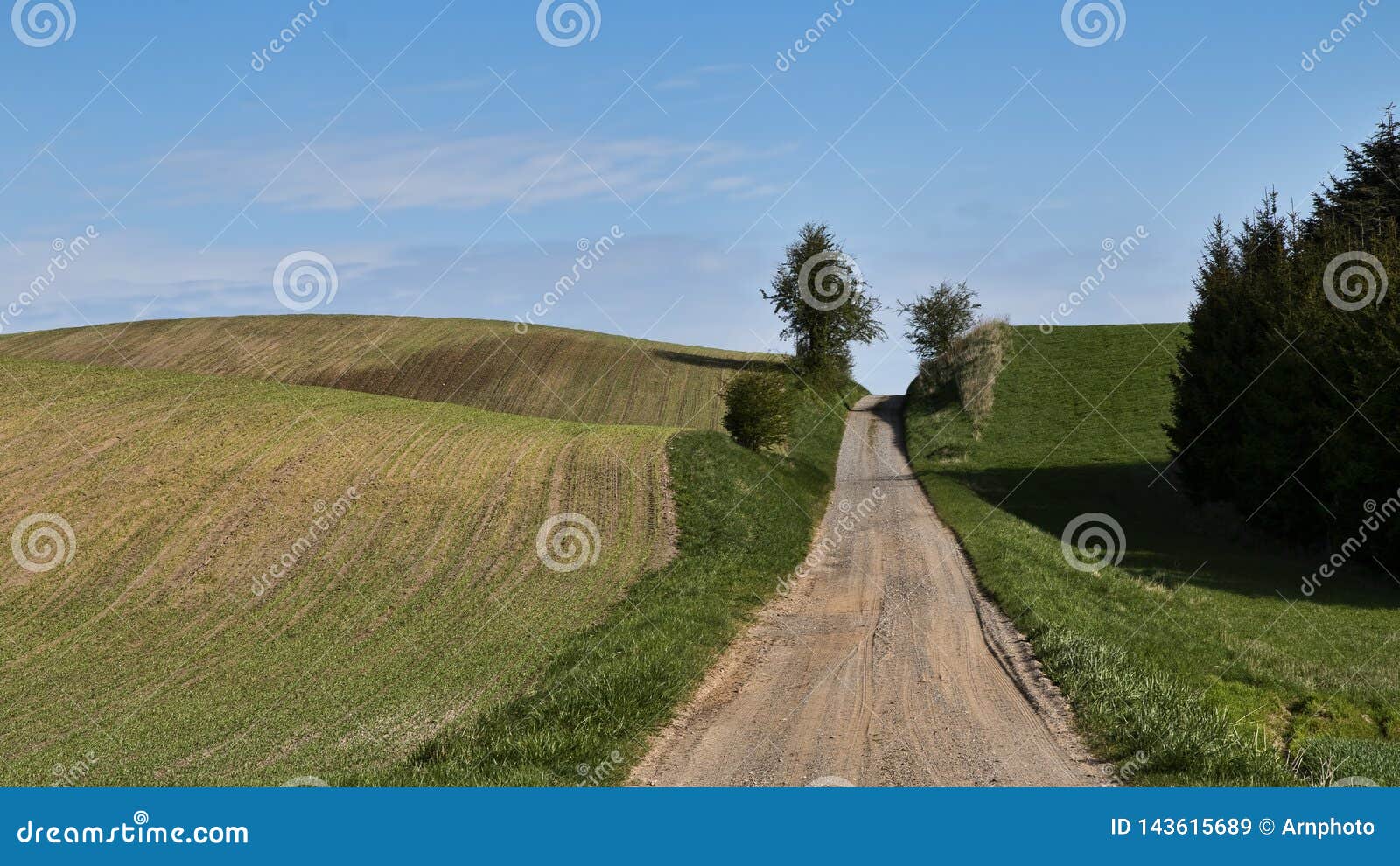 Dirt Road in the Fields stock image. Image of season - 143615689