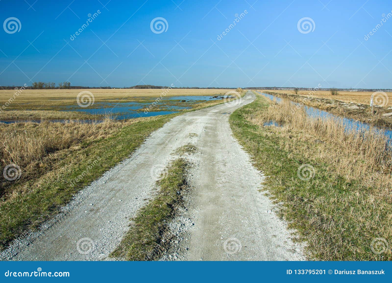Dirt Road and Flooded Fields Stock Image - Image of road, flood: 133795201