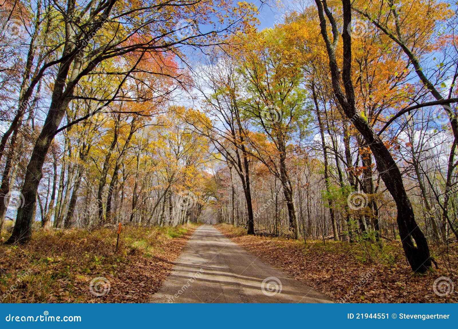 Dirt road, forest, autumn stock image. Image of leaves - 21944551