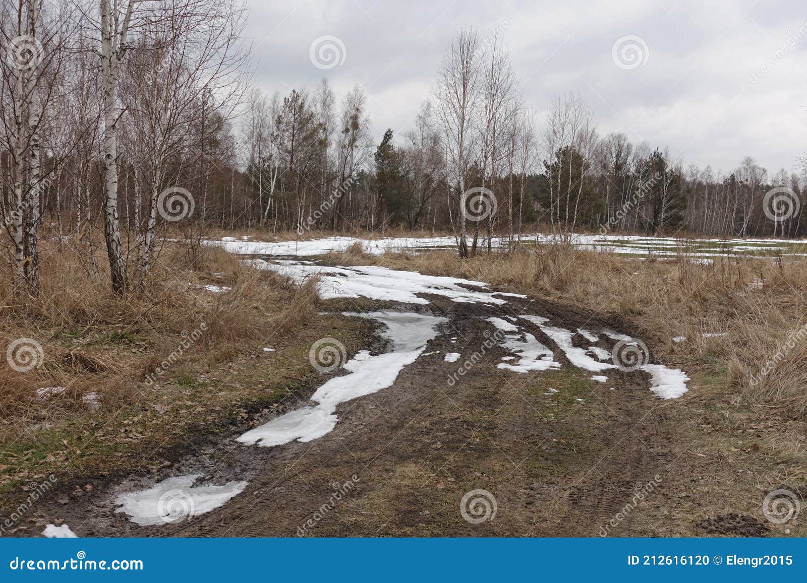 Dirt Road in the Forest with Melting Snow Stock Photo - Image of forest ...