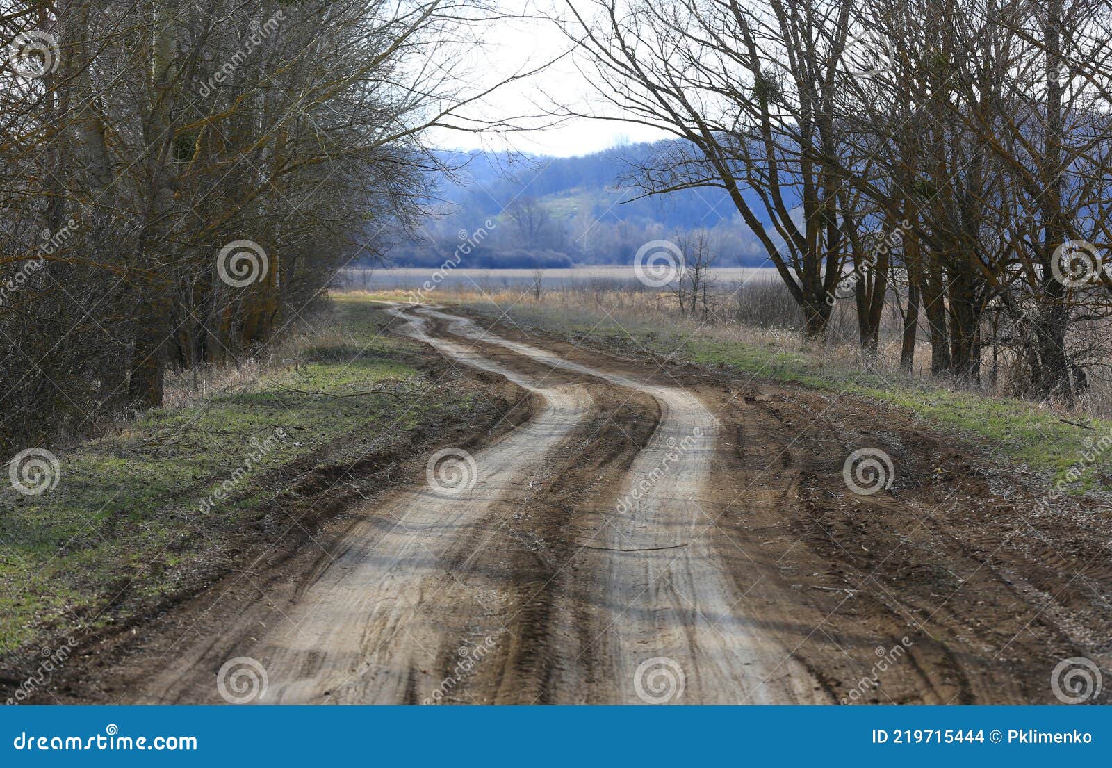 Dirt road in forest stock photo. Image of direction - 219715444