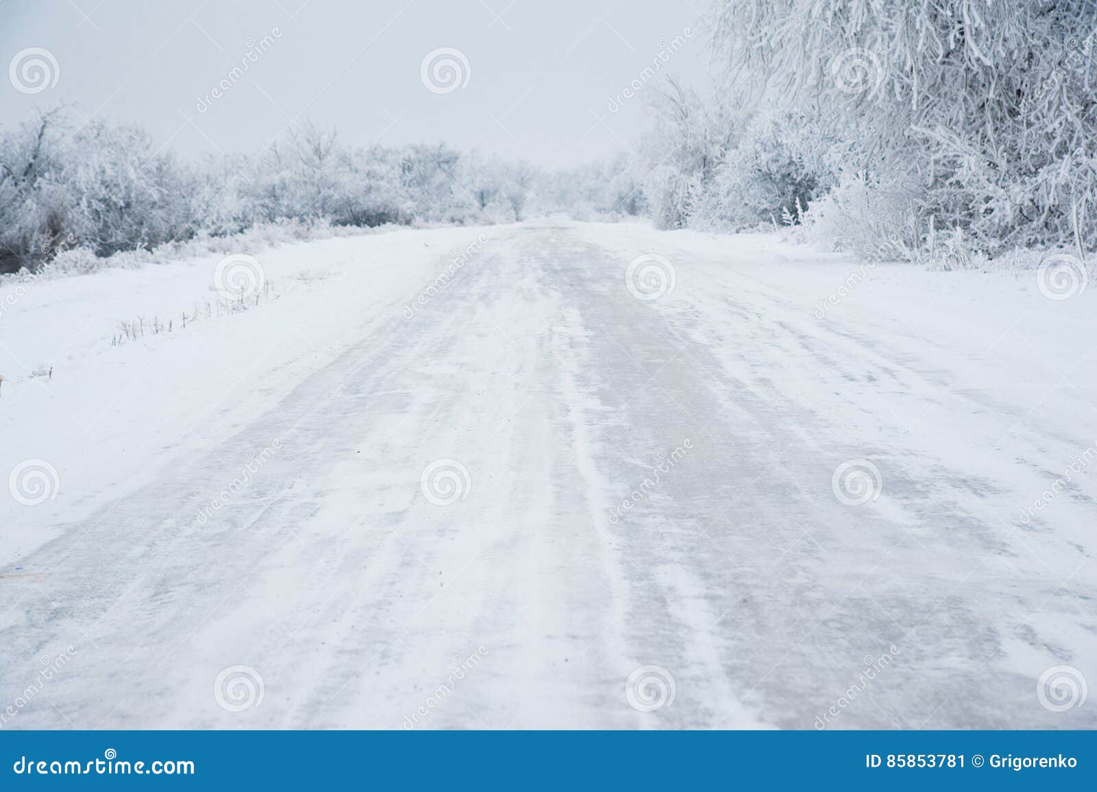 Dirt Road in the Forest in Winter Stock Image - Image of cold, winter ...