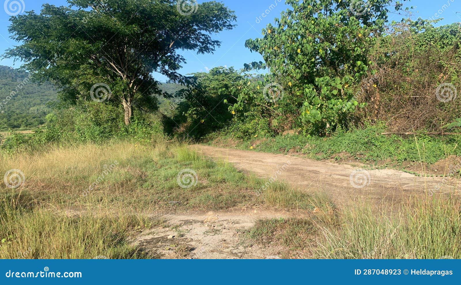 Dirt Road between the Grass Stock Image - Image of road, dirt: 287048923
