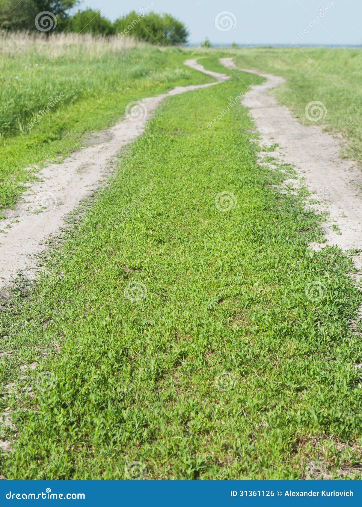 Dirt road stock photo. Image of dirt, trails, grass, earth - 31361126