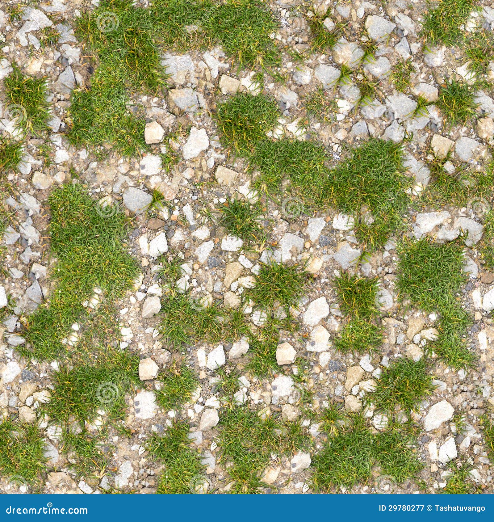 Dirt Road Seamless Texture. Stock Image - Image of closedup, pattern ...