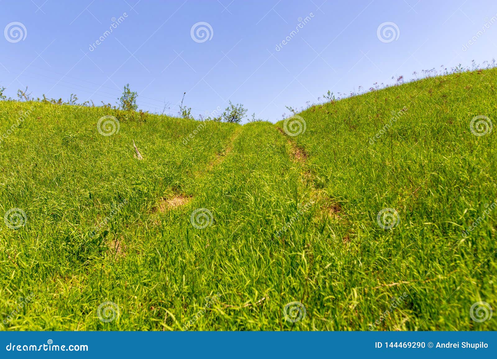 Dirt Road in the Grass in Spring Stock Photo - Image of hills, steppe ...