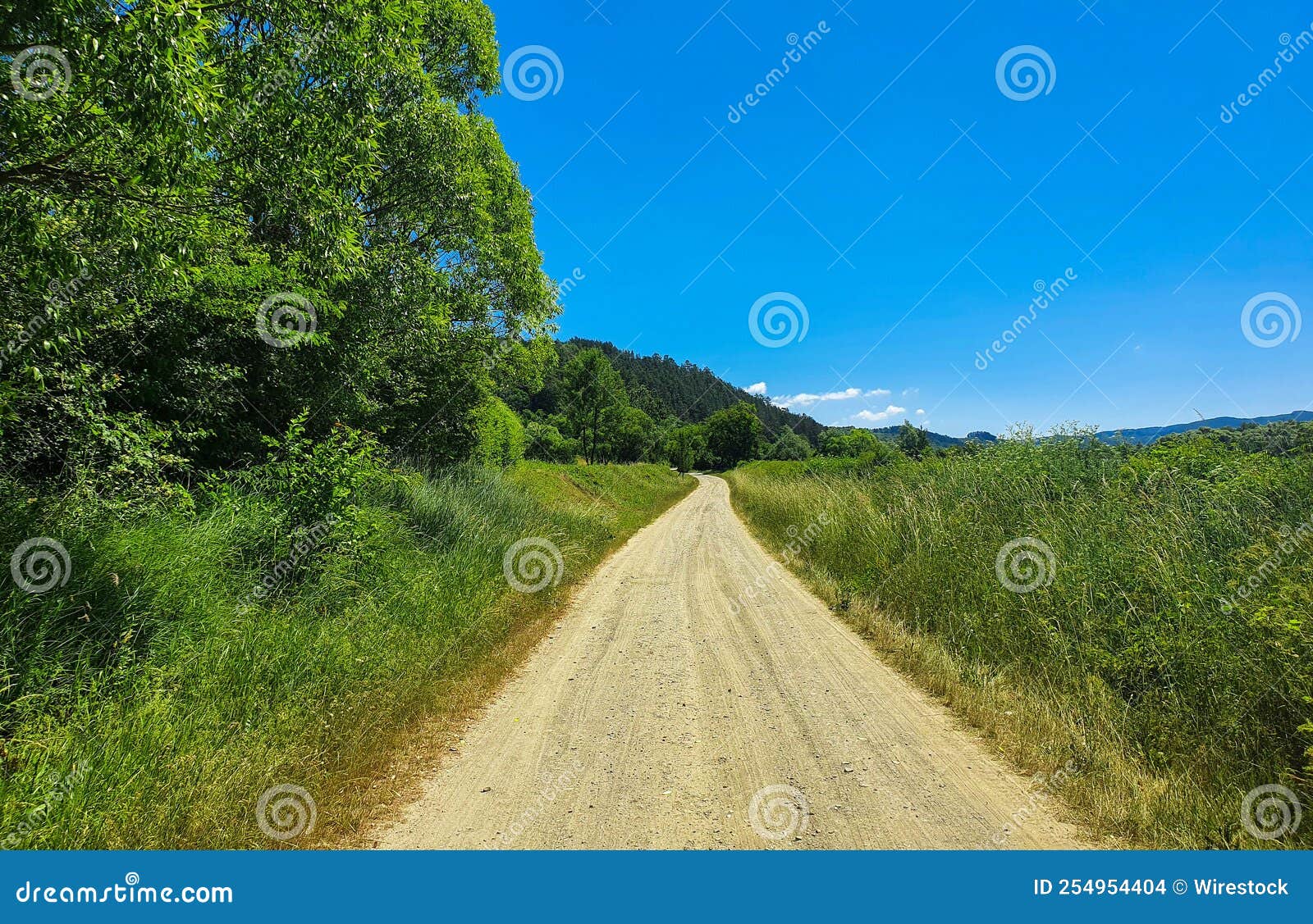 Dirt Road with Grasses and Trees on the Side Stock Photo - Image of ...