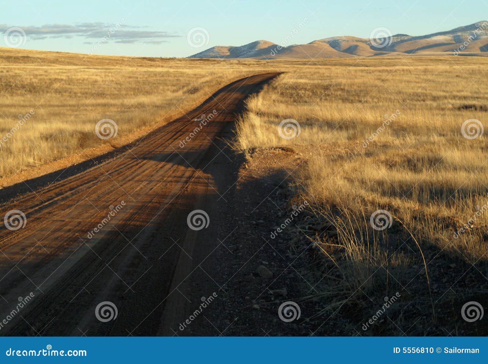 Dirt Road through Grassy Plains Stock Photo - Image of drive, remote ...