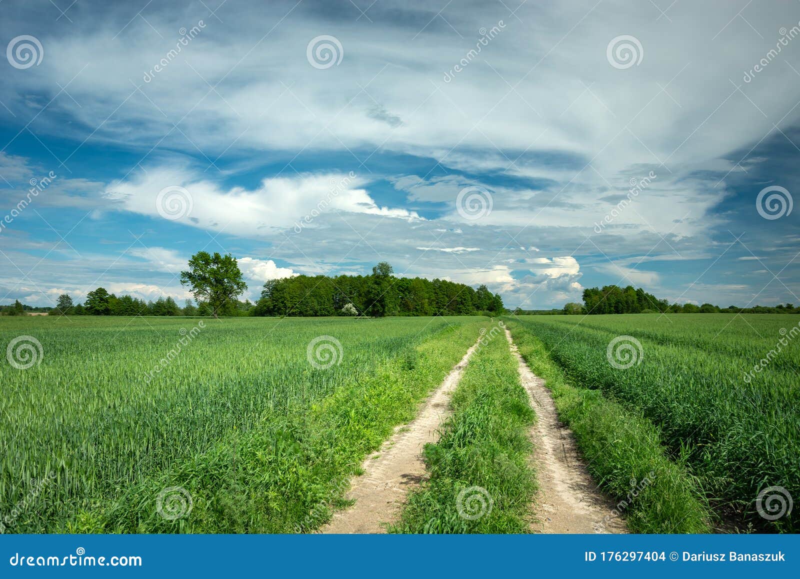 A Dirt Road through Green Fields, White Clouds on a Sky Stock Photo ...