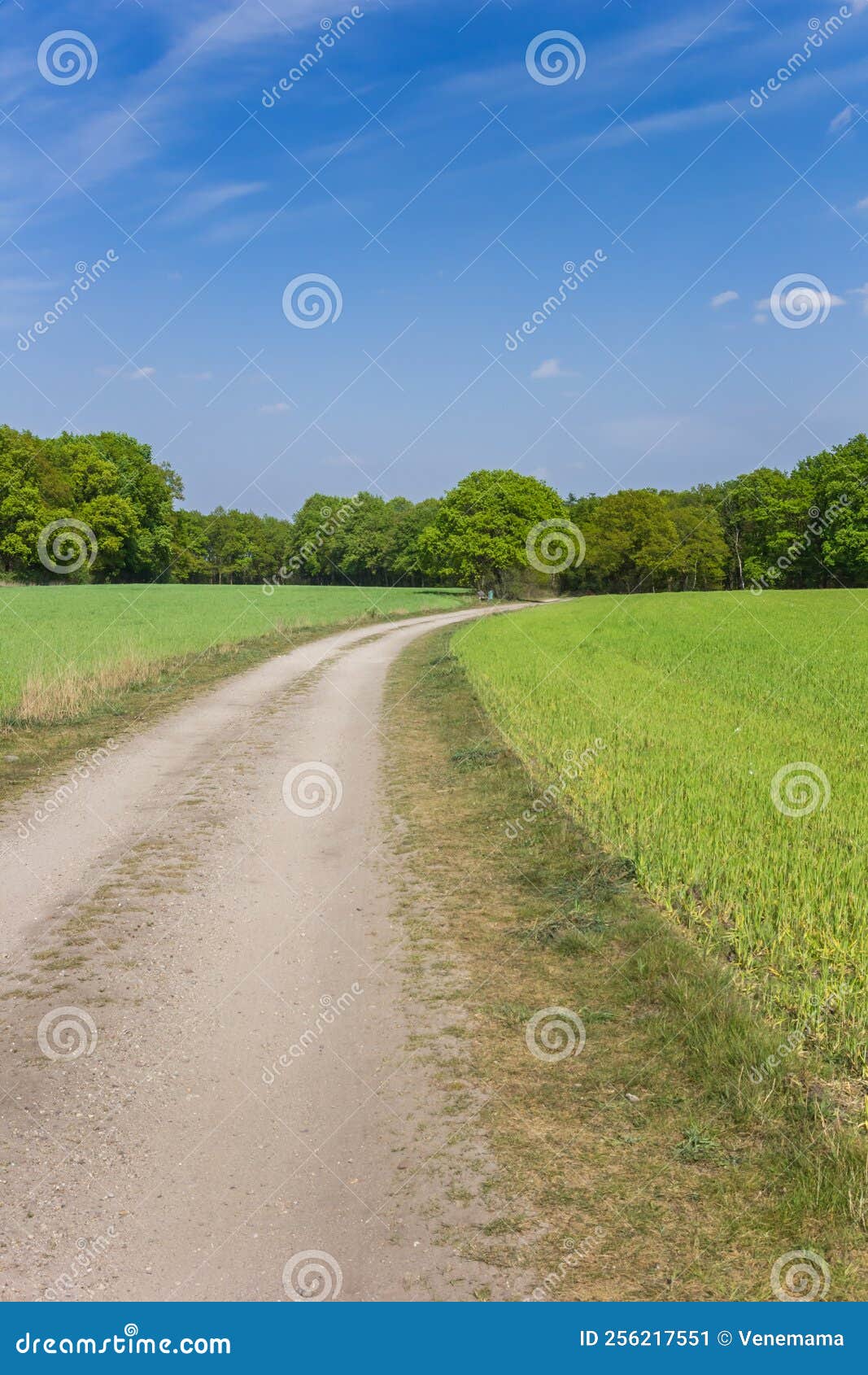 Dirt Road in the Landscape of Overijssel Stock Image - Image of road ...