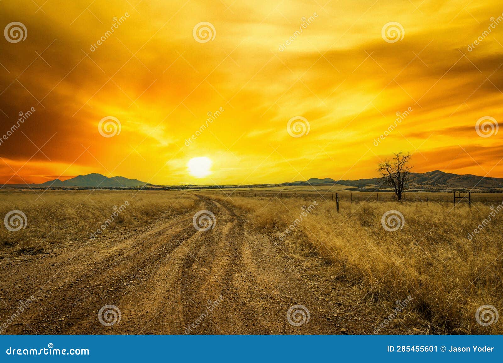 A Dirt Road Leading Off into the Sunset Stock Image - Image of ...