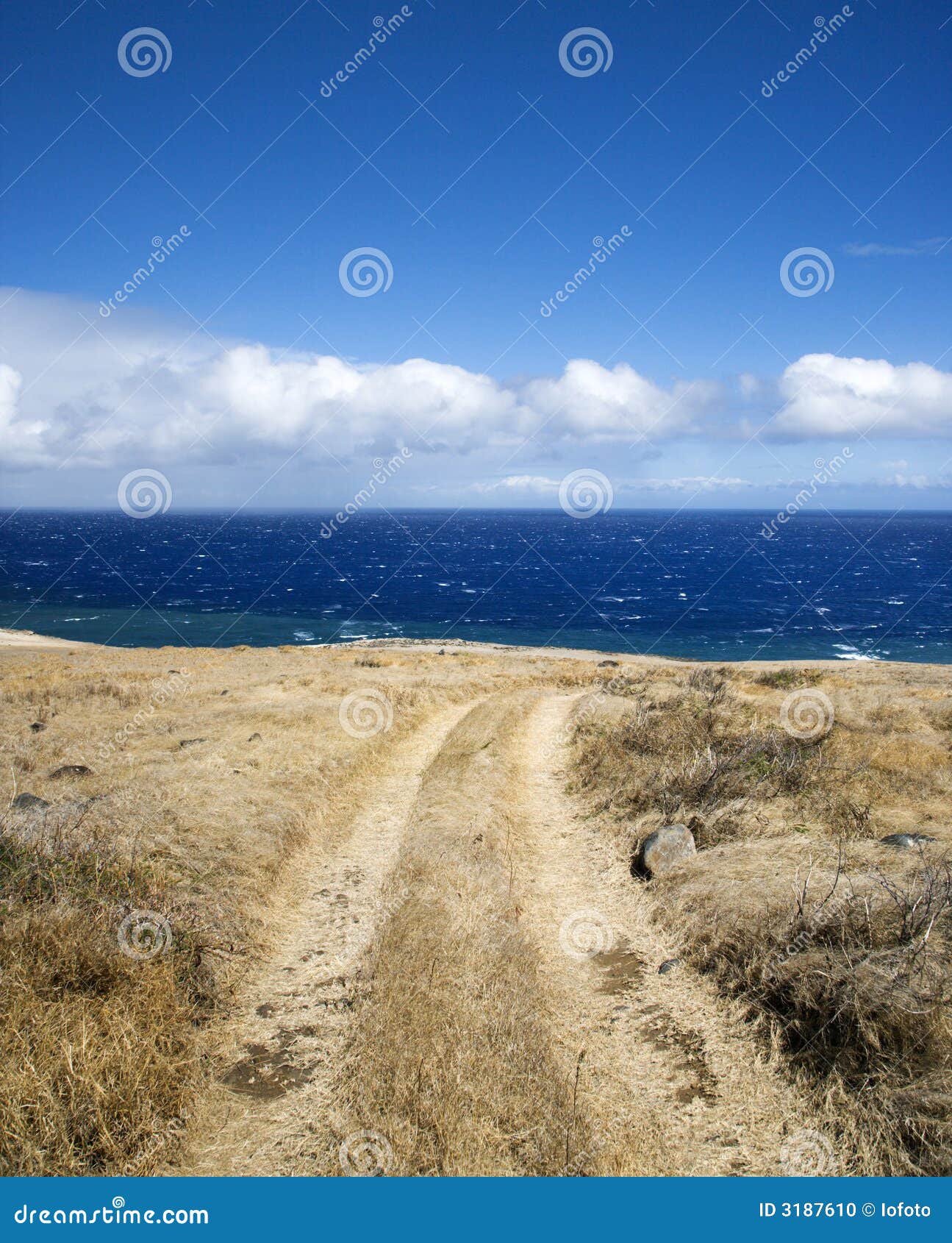 Dirt Road Leading To Beach. Stock Photo - Image of outdoors, secluded ...