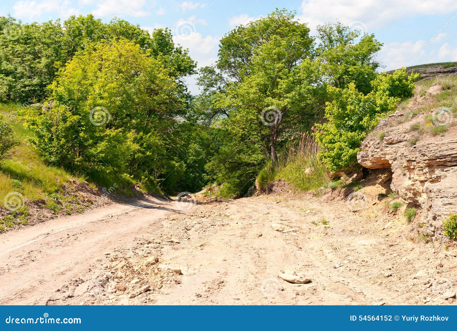 Dirt Road Leading through the Woods Stock Photo - Image of rolled, rock ...