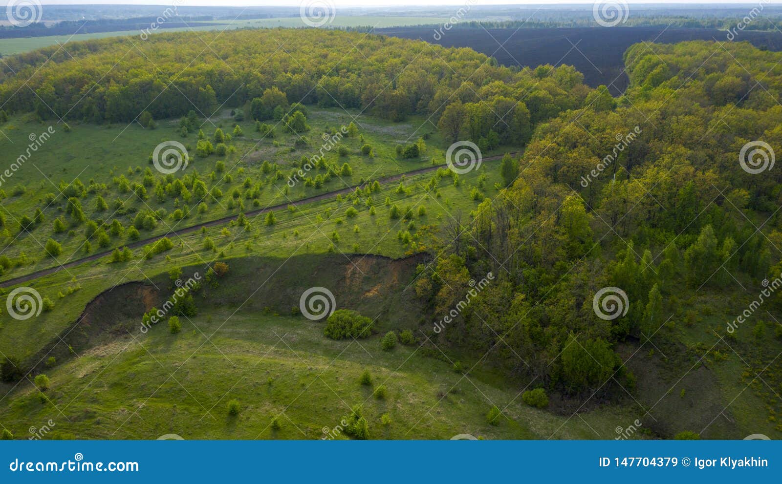 Dirt Road through Meadows, Forests, Fields from a Bird`s-eye View, with ...