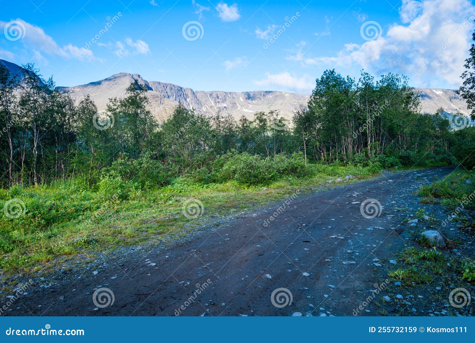 Dirt Road in a Mountain Landscape Park Against the Backdrop Stock Image ...