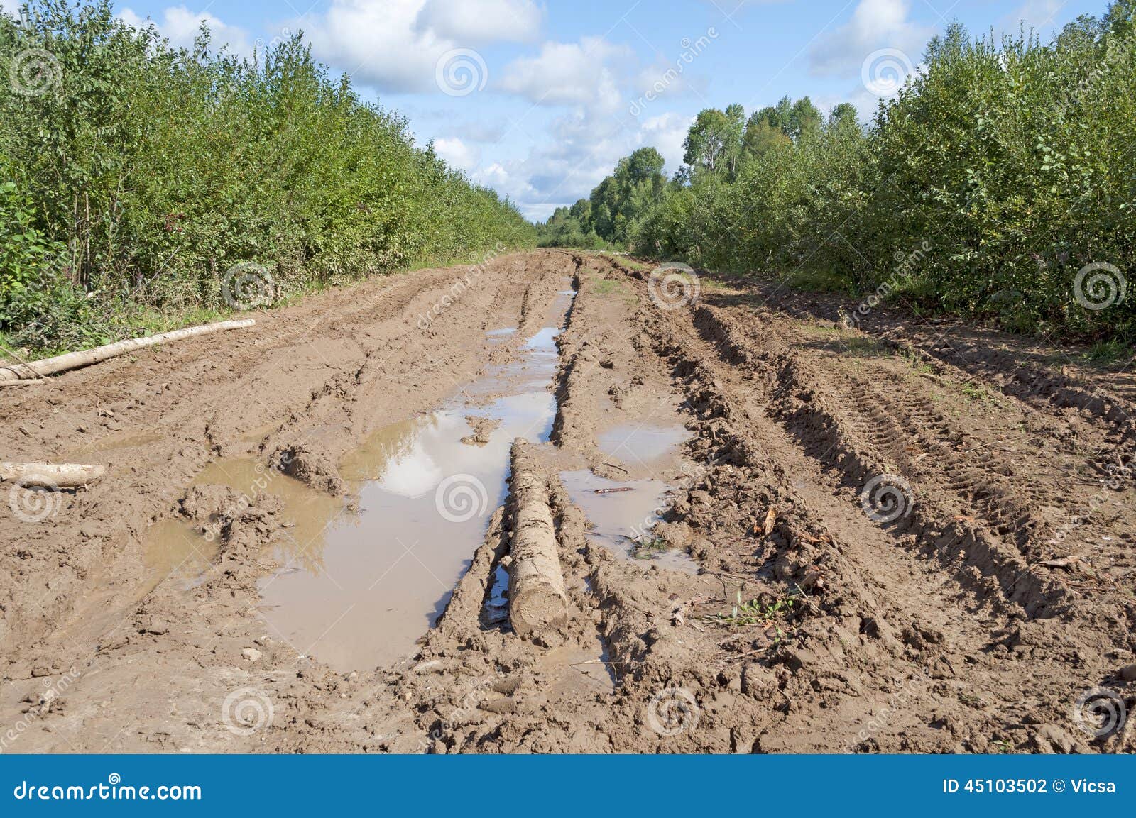 Dirt Road with Mud and Big Puddles Stock Photo - Image of forest ...