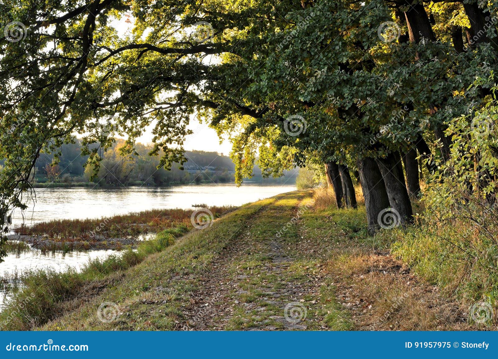 Dirt road near the river stock image. Image of park, blue - 91957975