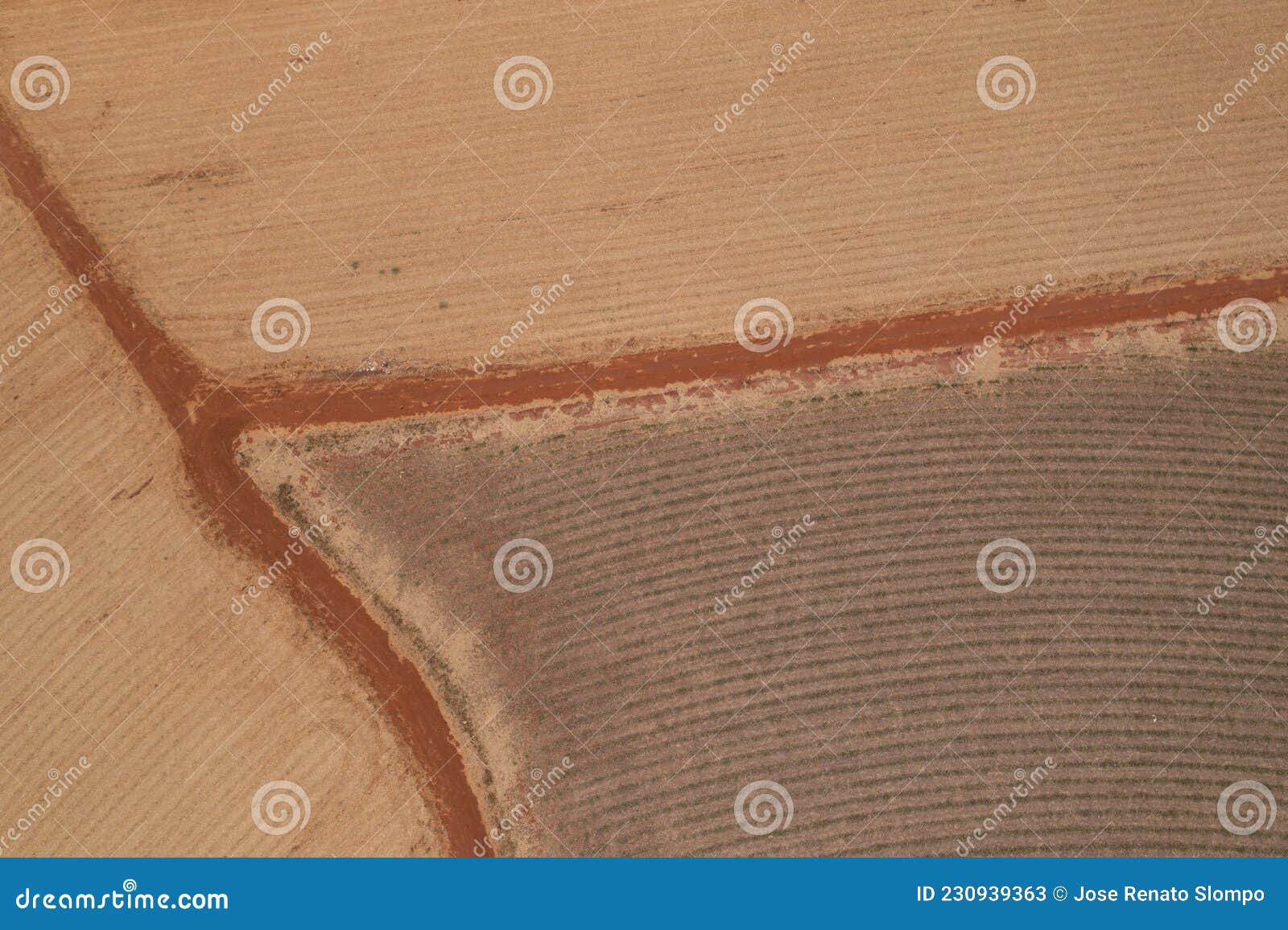 Dirt Road beside Newly Planted Cane Fields Stock Image - Image of ...