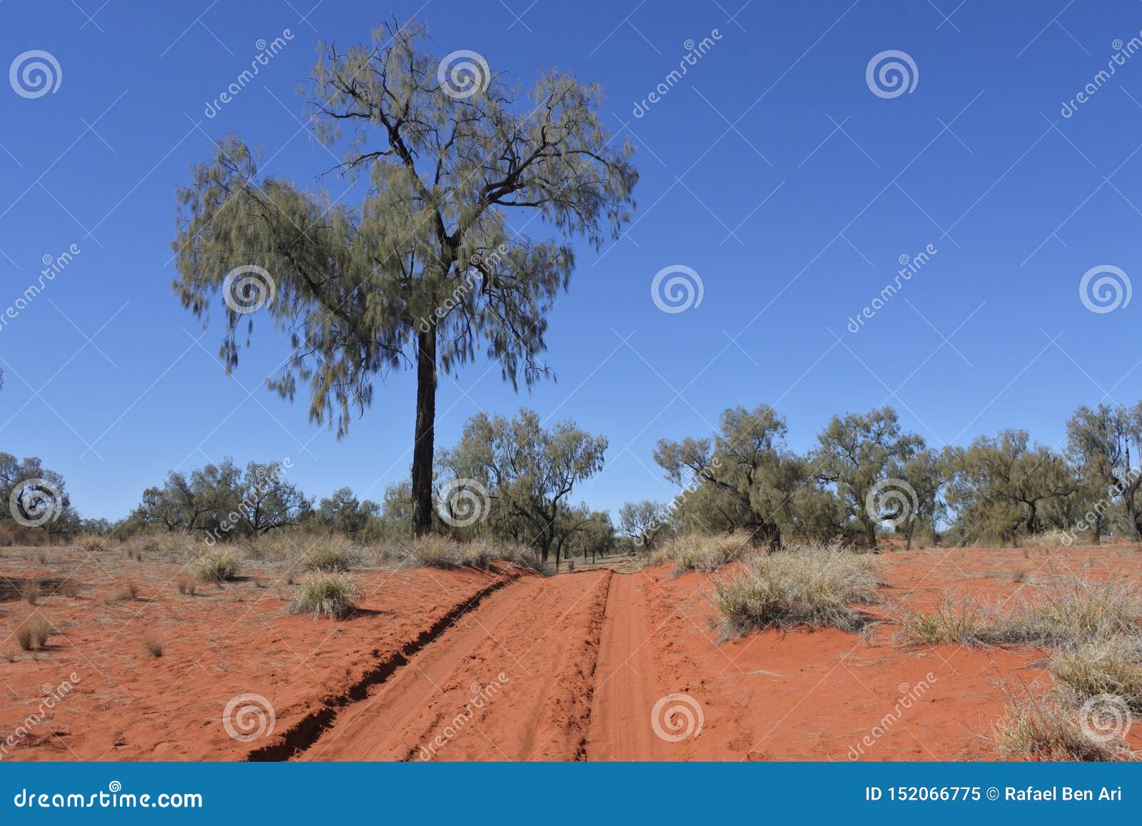 Dirt Road in the Outback of Australia Stock Image - Image of route ...