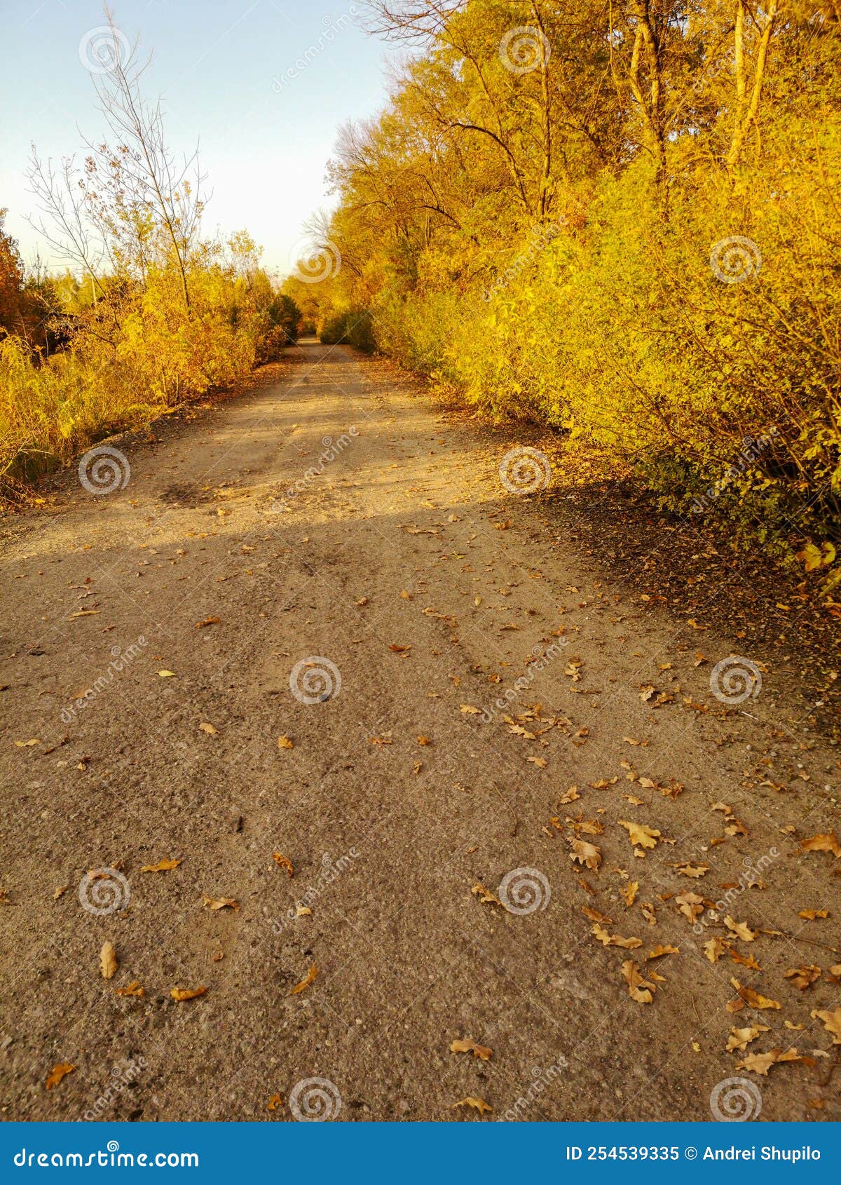 Dirt Road in the Park in Autumn. Stock Image - Image of river, leaf ...