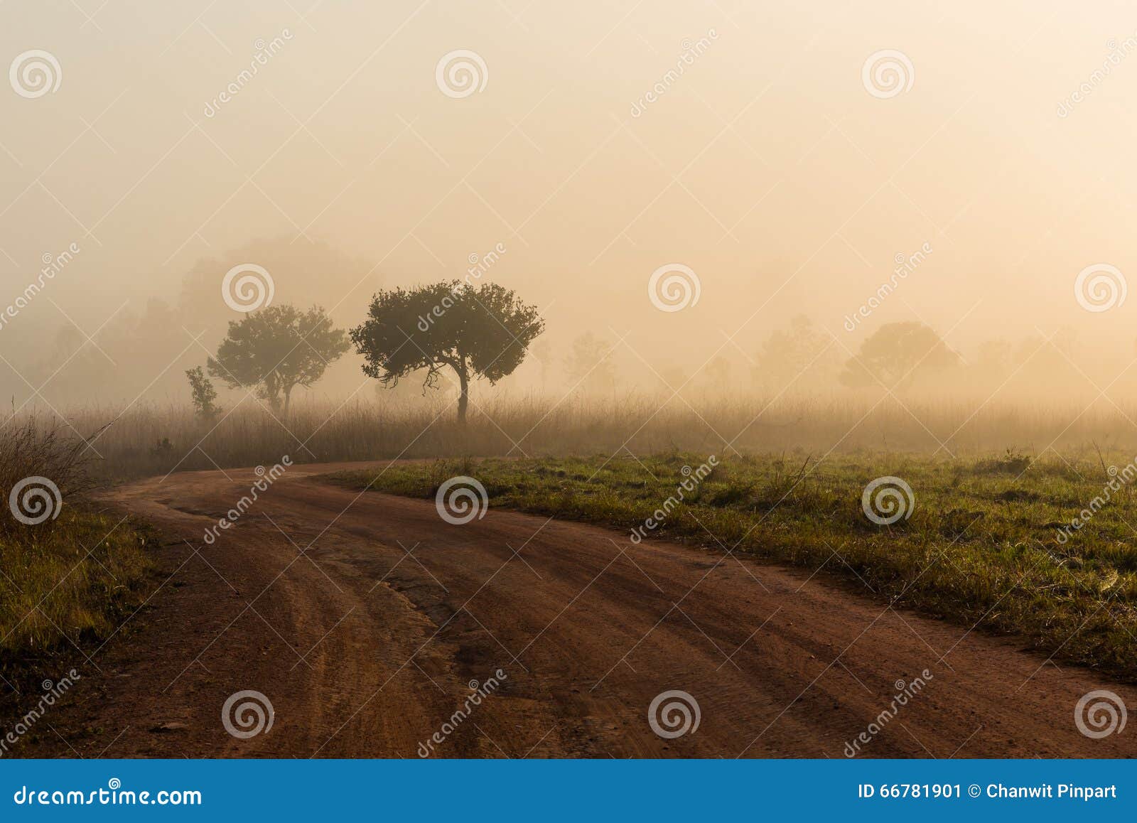 Dirt Road Pass Throught the Field on Morning Mist Stock Image - Image ...