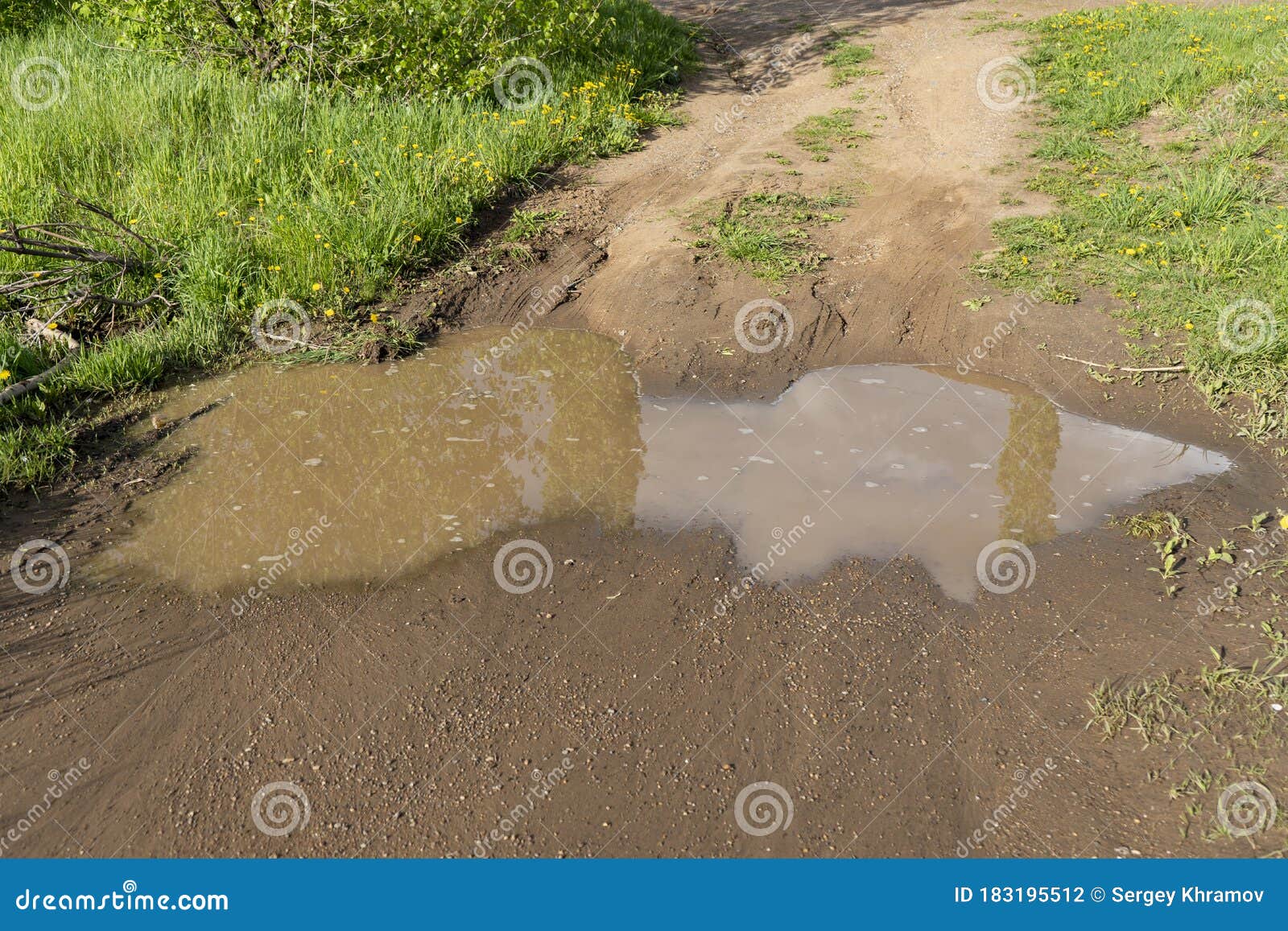 Dirt Road and Puddle after Rain Stock Photo - Image of aged, deep ...