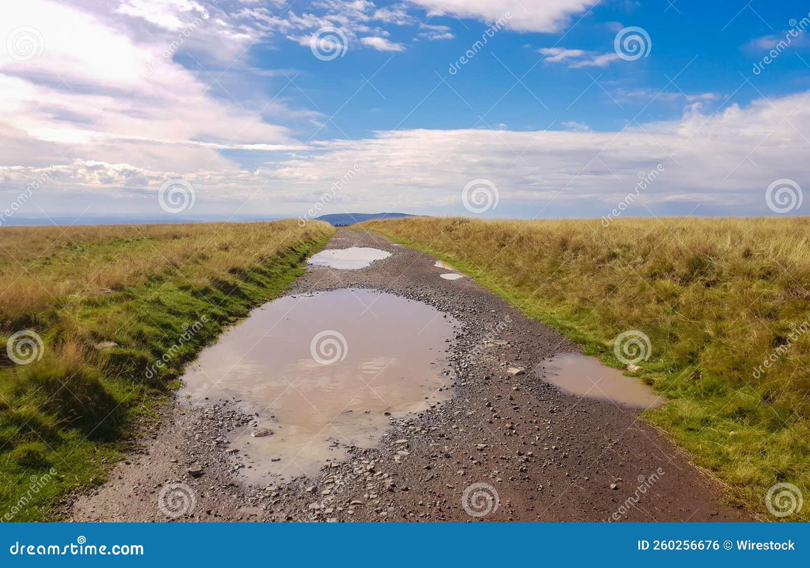 A Dirt Road with Puddles in a Field Stock Photo - Image of road, clouds ...