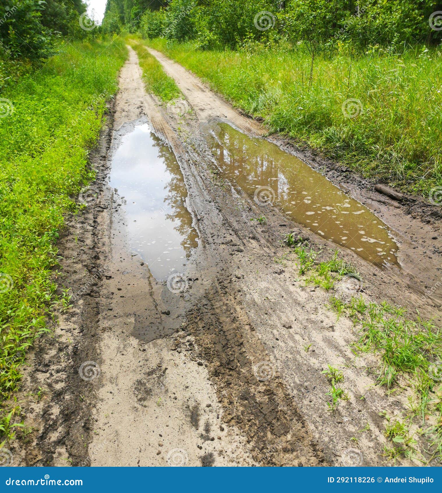 Dirt Road with Puddles after Rain Stock Photo - Image of waterlogged ...