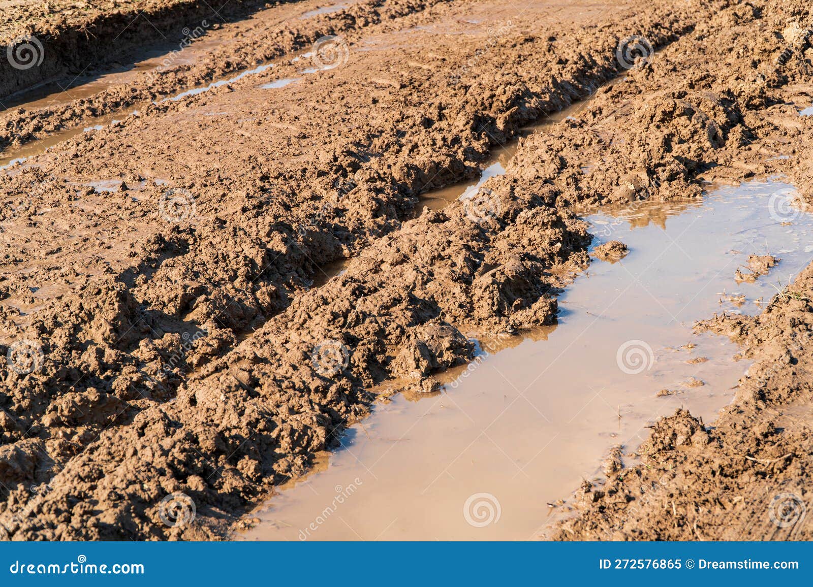 Dirt Road after Rain. Road with Ruts and Puddles Stock Image - Image of ...