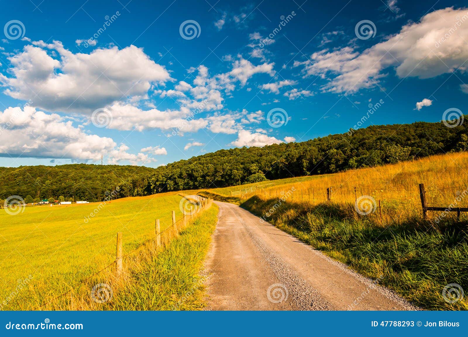 Dirt Road in the Shenandoah Valley, Virginia. Stock Image - Image of ...