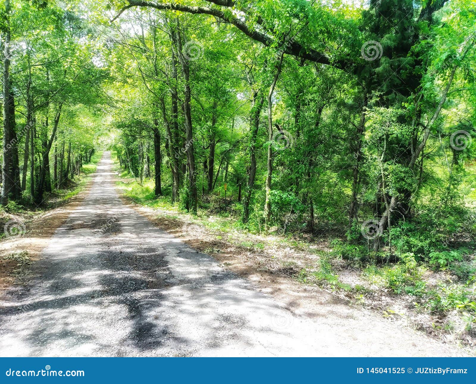 Dirt Road in Spring of April Stock Image - Image of dirt, trees: 145041525