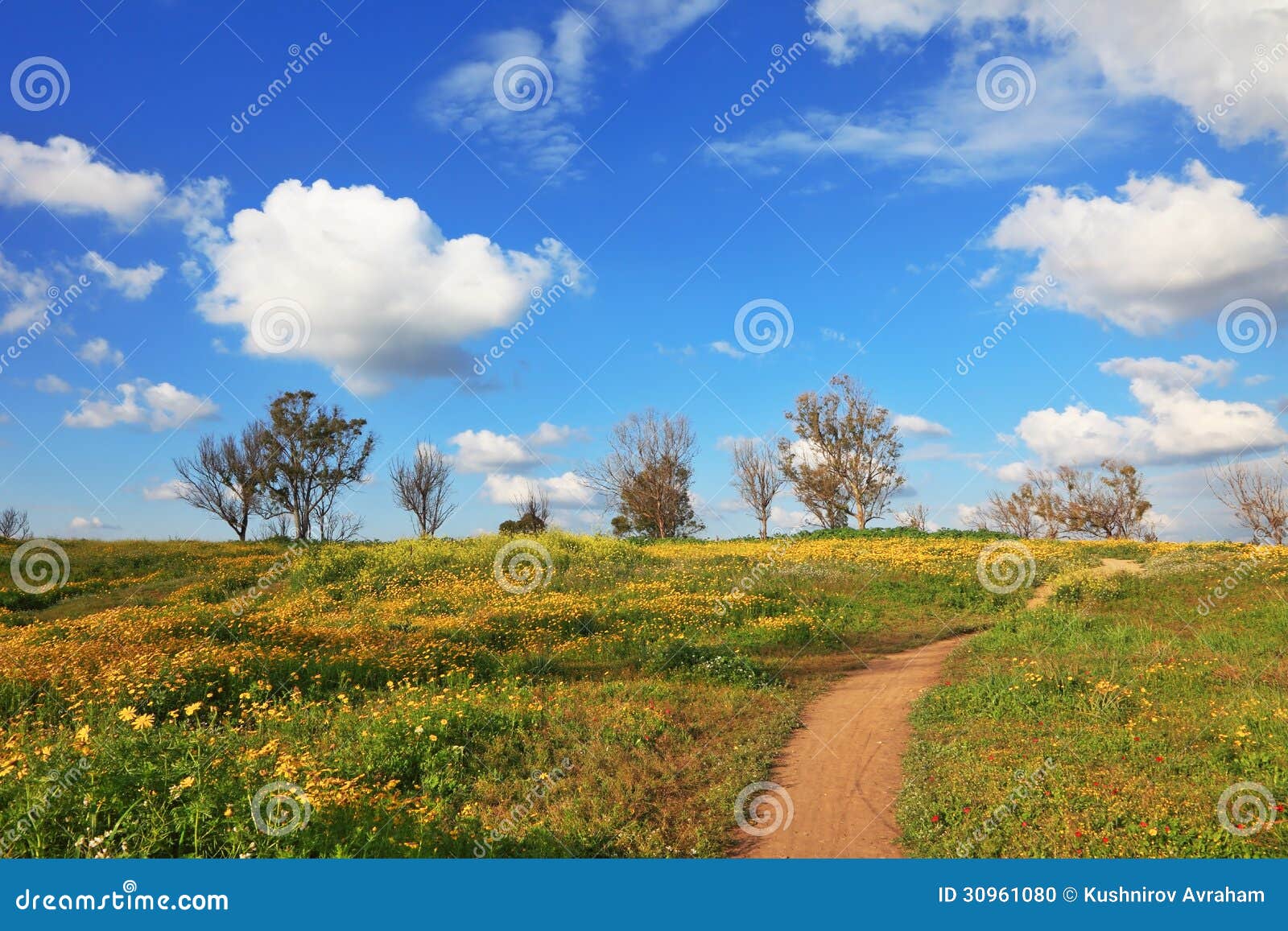 The Dirt Road through the Spring Fields Stock Photo - Image of ...