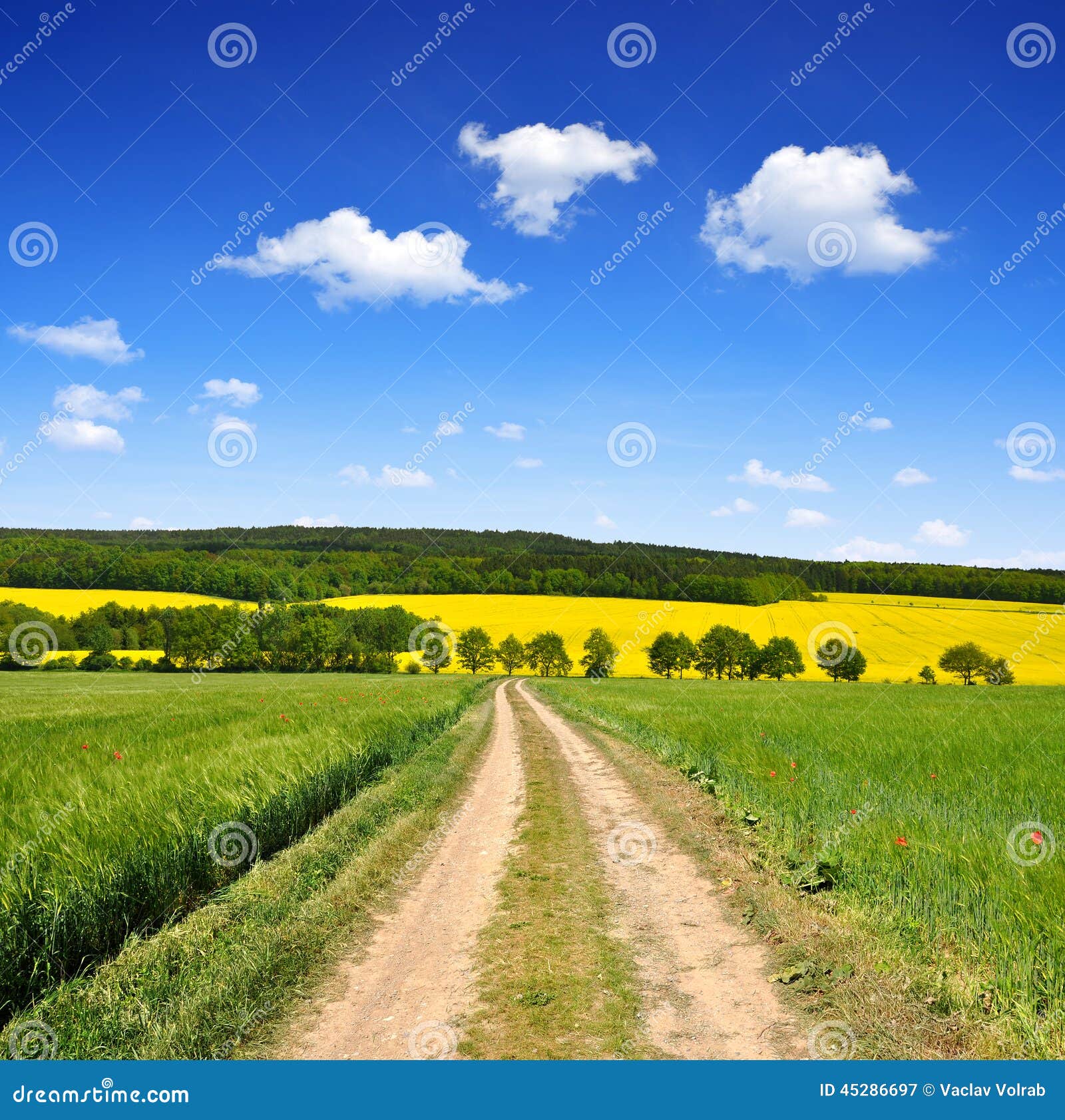 Dirt road stock image. Image of environmental, agriculture - 45286697