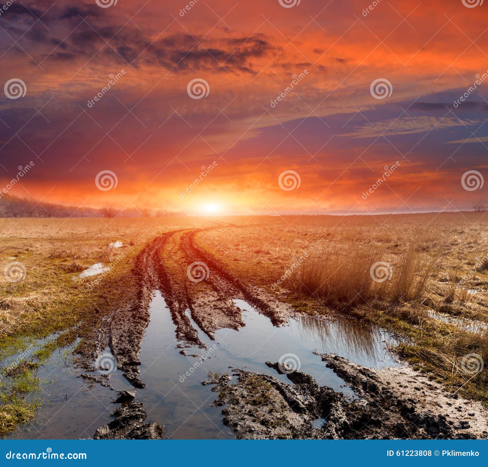 Dirt road in spring steppe stock photo. Image of lane - 61223808