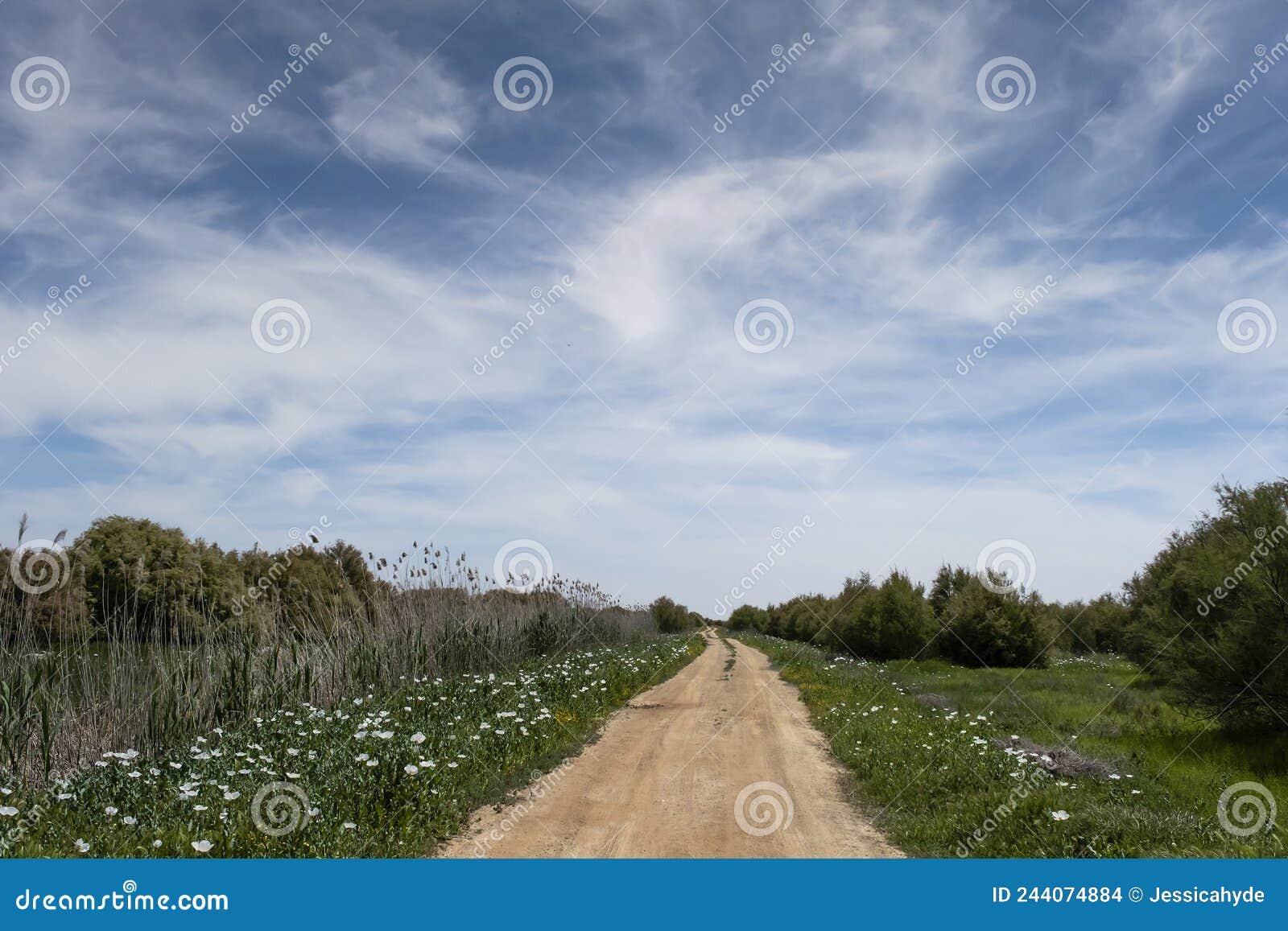 Dirt Road in the Springtime Countryside Stock Photo - Image of dirt ...