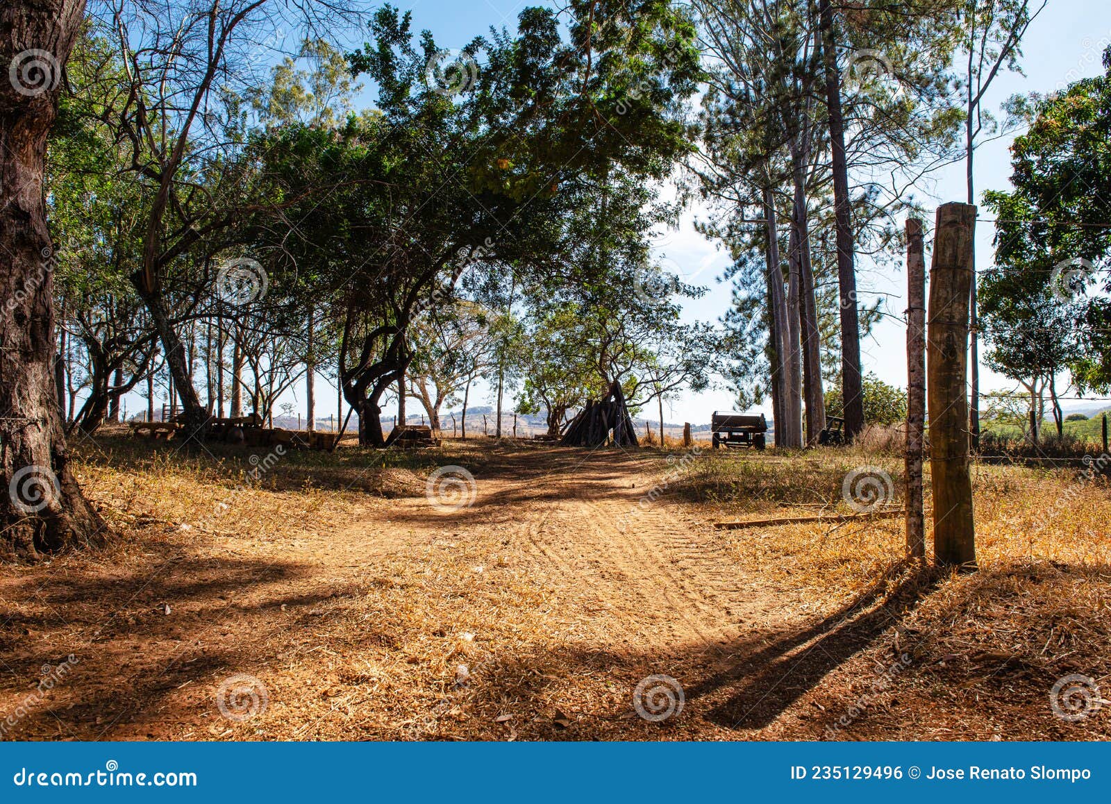 Dirt Road on Sunny Day with Shadow Made by Trees and Blue Sky in the ...