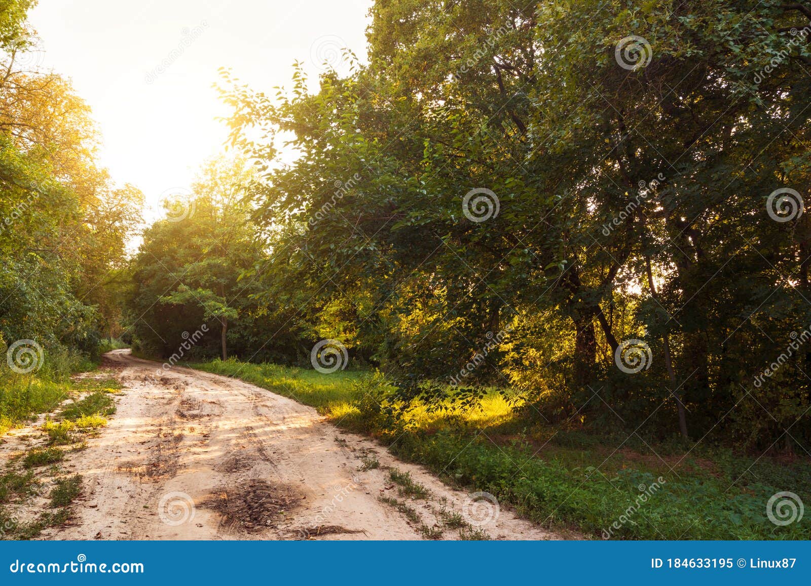 Dirt road in the forest stock image. Image of offroad - 184633195
