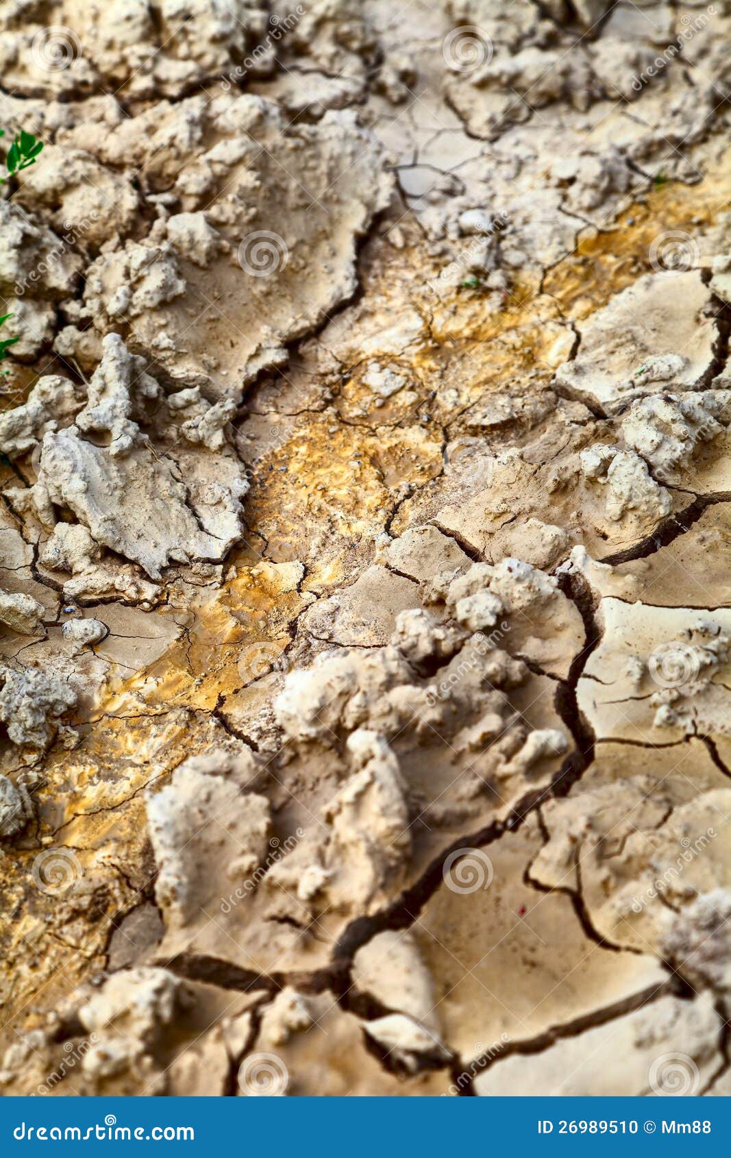 Dirt road surface stock photo. Image of bumpy, fields - 26989510