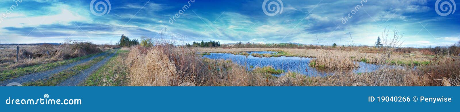 Dirt Road Swamp Panorama stock photo. Image of outdoors - 19040266