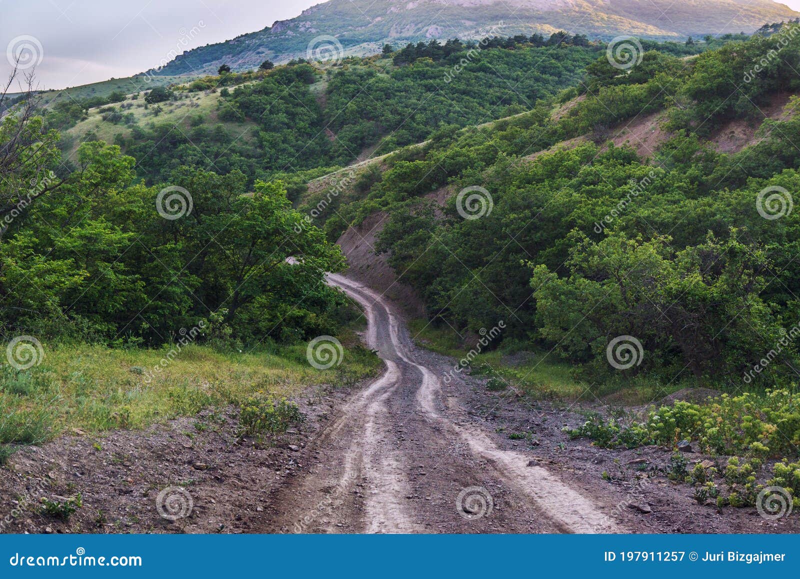 Dirt Road To the Open Mountain Range Stock Image - Image of remote ...