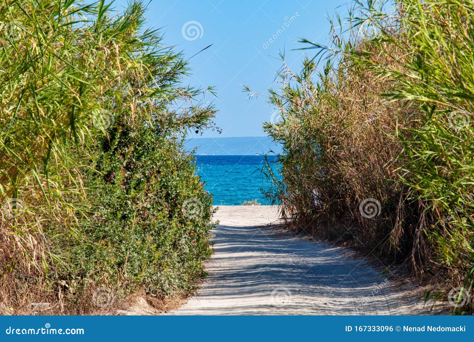 A Dirt Road To a Wild Beach Stock Photo - Image of journey, idyllic ...